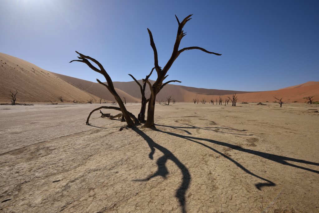 Afrika - Namibia - Toni Grießbach - Fotografie